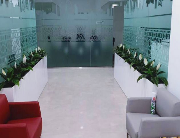 Best Landscape Company in Dubai, UAE | Jazlyne