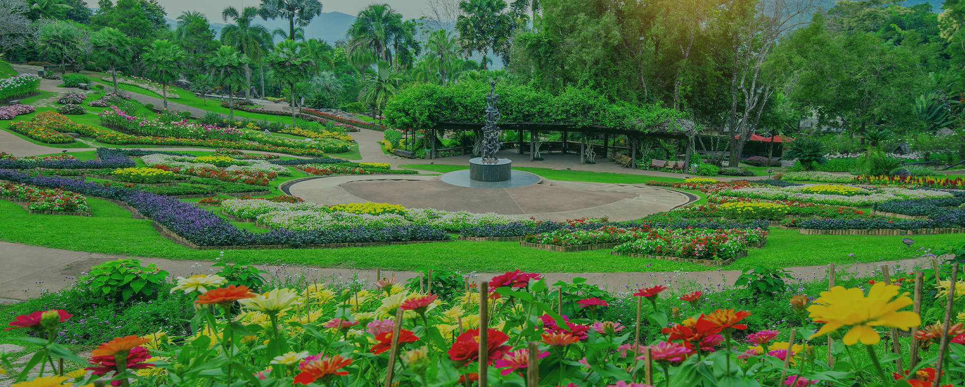 Best Landscape Company in Dubai, UAE | Jazlyne