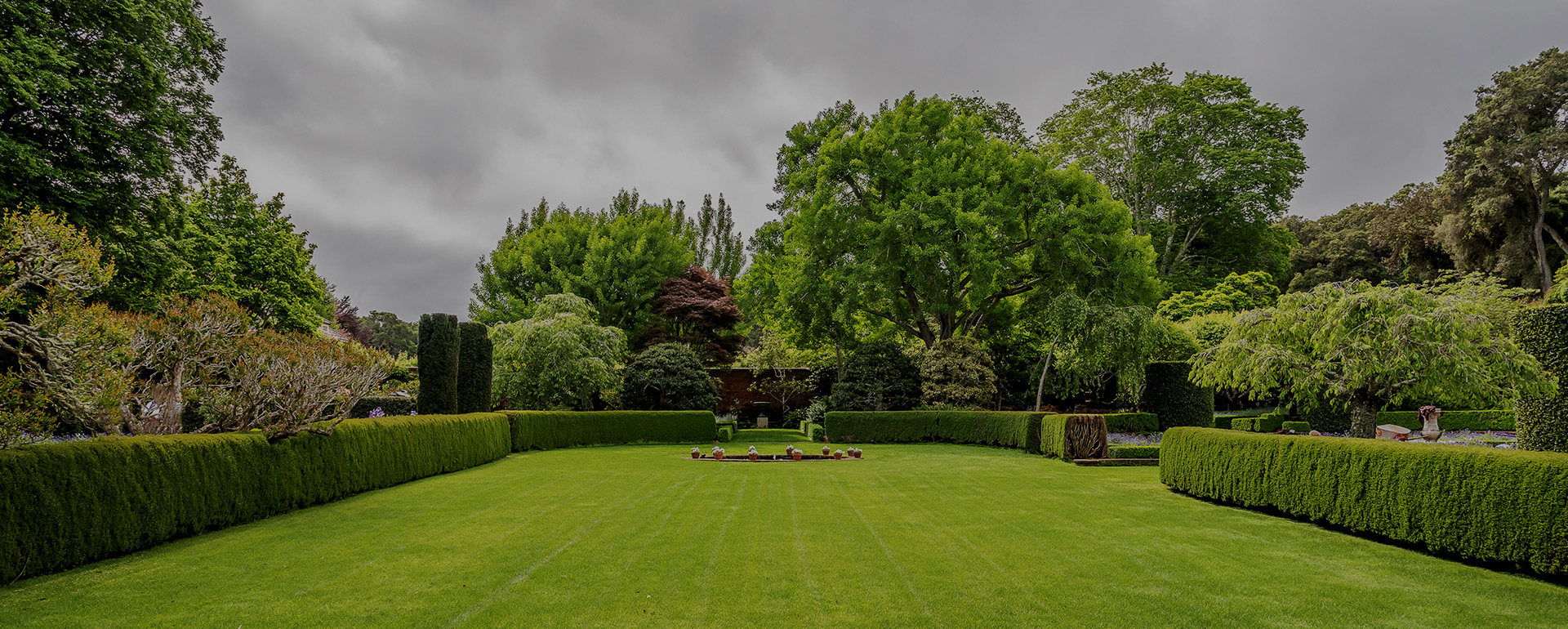 Best Landscape Company in Dubai, UAE | Jazlyne