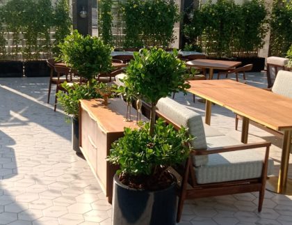 Best Landscape Company in Dubai, UAE | Jazlyne